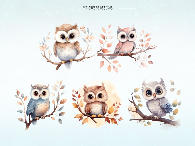 25 Cute Owls Watercolor Clipart Set, High Resolution Leaves and Owl ...