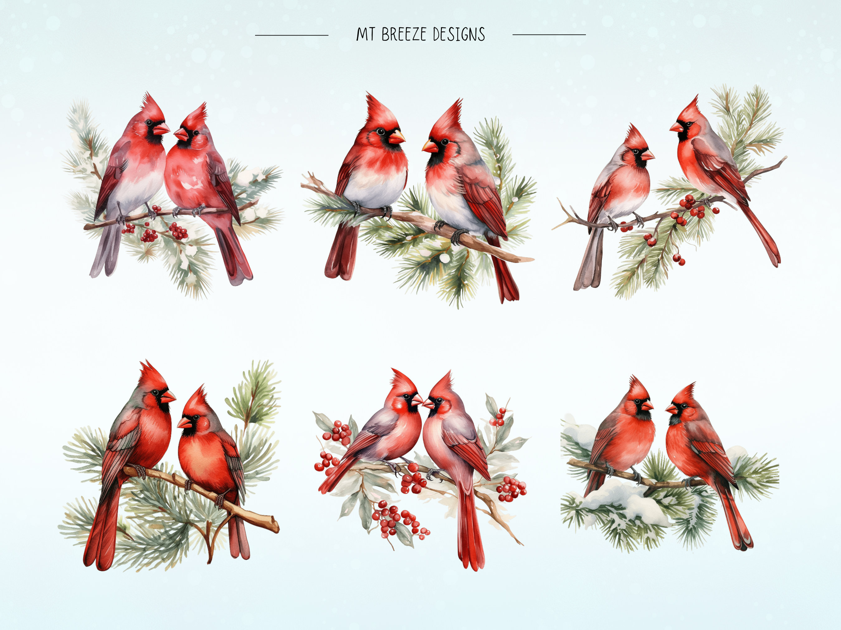 24 Cardinals Watercolor Clipart Set, High Resolution Winter Holiday Red ...