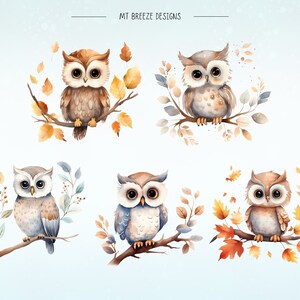 25 Cute Owls Watercolor Clipart Set, High Resolution Leaves and Owl ...