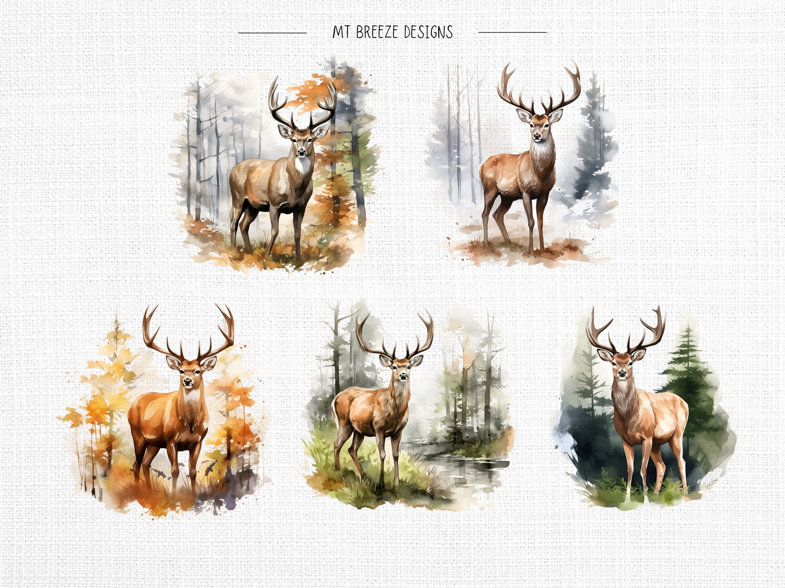 Deer Watercolor Clipart Set, High Resolution Woodland Deer and Buck ...