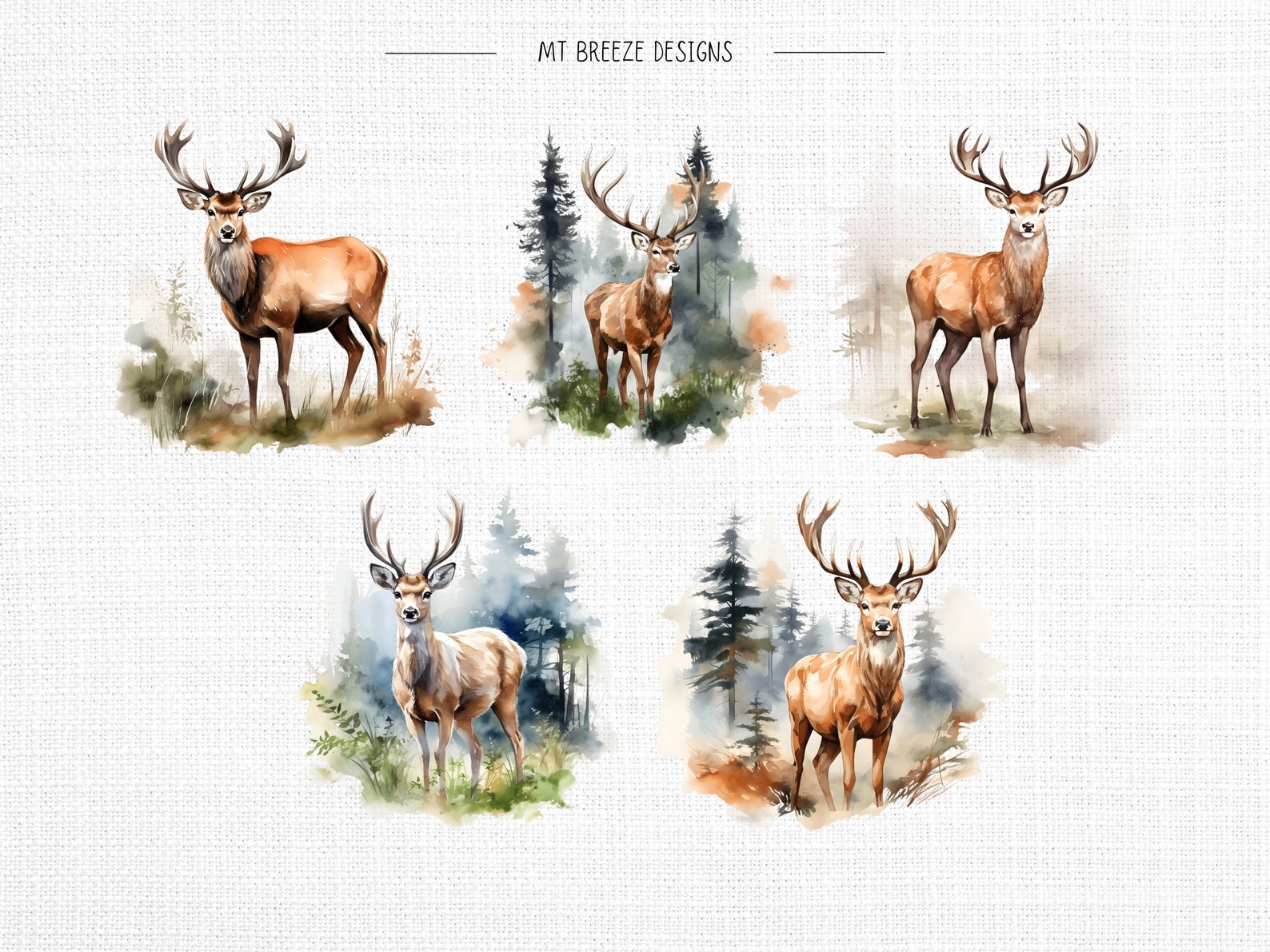 Deer Watercolor Clipart Set, High Resolution Woodland Deer and Buck ...