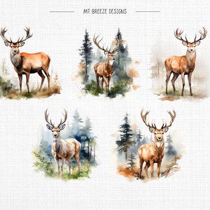Deer Watercolor Clipart Set, High Resolution Woodland Deer and Buck ...