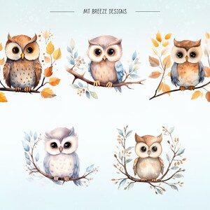 25 Cute Owls Watercolor Clipart Set, High Resolution Leaves and Owl ...