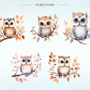 25 Cute Owls Watercolor Clipart Set, High Resolution Leaves and Owl ...