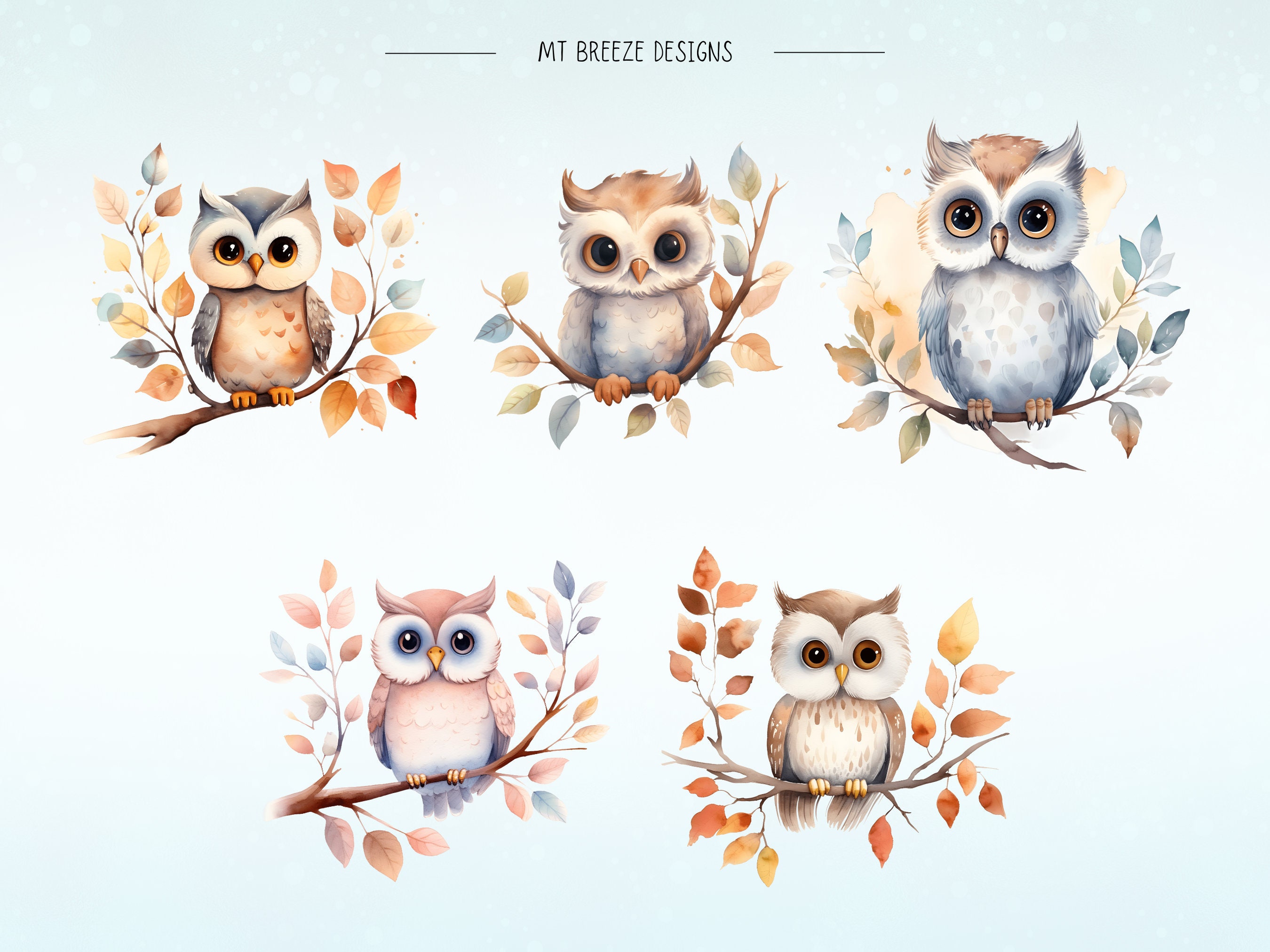 25 Cute Owls Watercolor Clipart Set, High Resolution Leaves and Owl ...