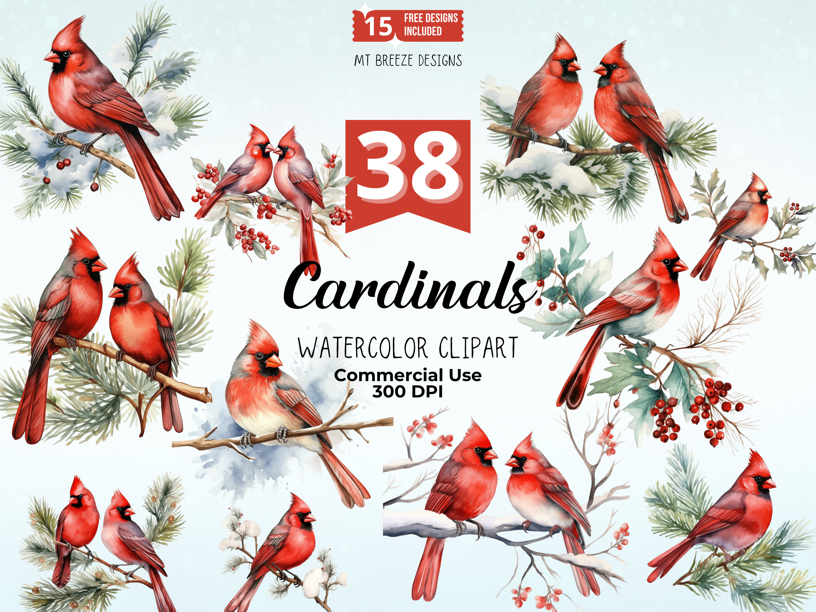 24 Cardinals Watercolor Clipart Set, High Resolution Winter Holiday Red ...