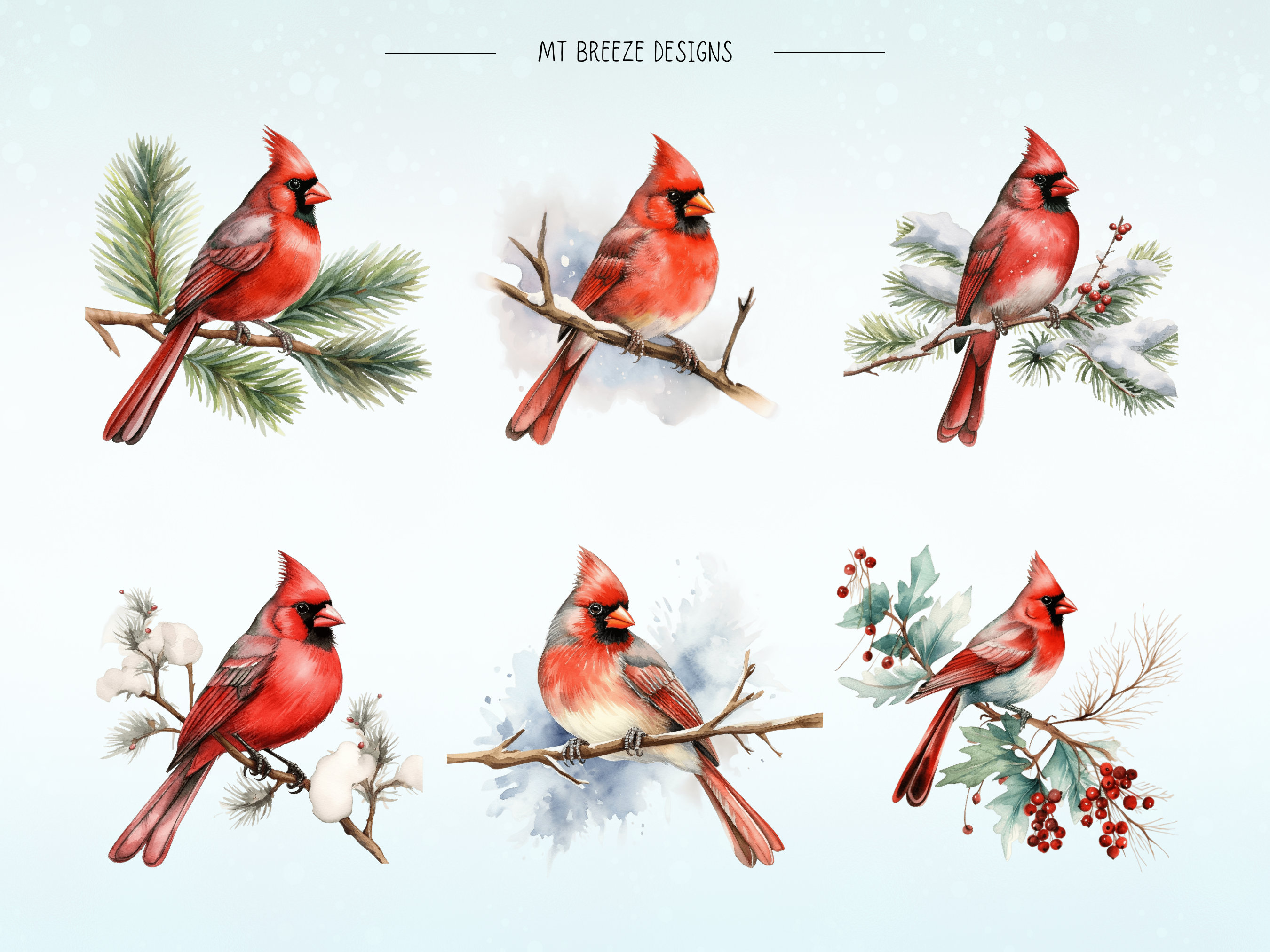 24 Cardinals Watercolor Clipart Set, High Resolution Winter Holiday Red ...