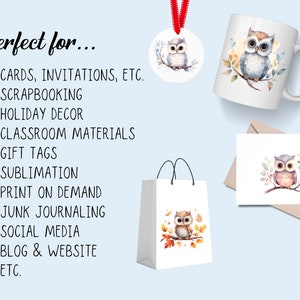 25 Cute Owls Watercolor Clipart Set, High Resolution Leaves and Owl ...