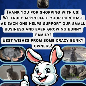 Don't Talk Me I'm Angy Funny Rabbit Mug, Humor Bunny Coffee Mug, Work ...