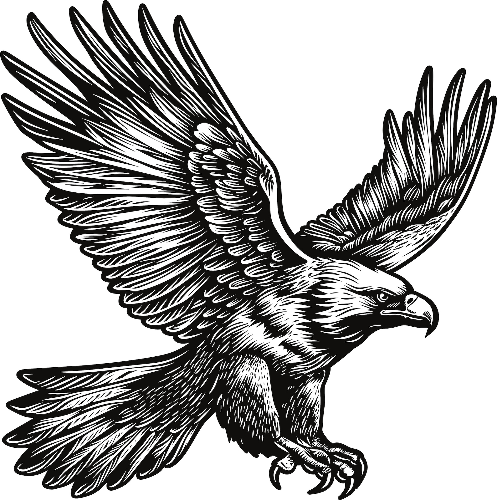 High Resolution Flying Eagle Vector - Etsy
