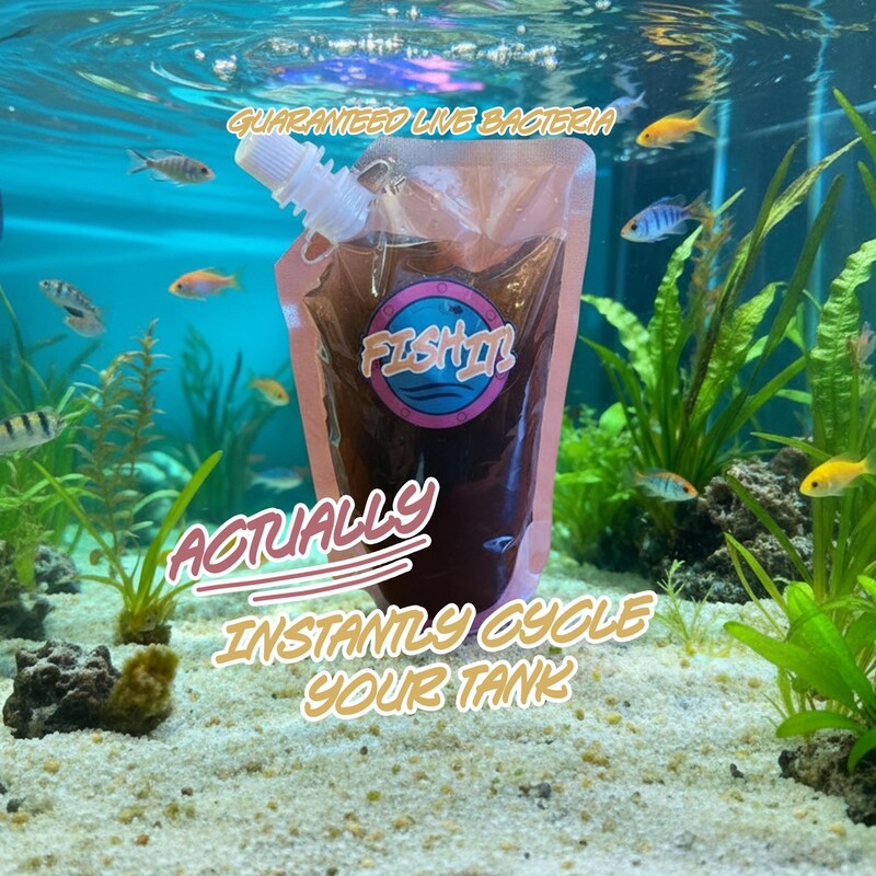 Live Fish Tank Accessories - Etsy