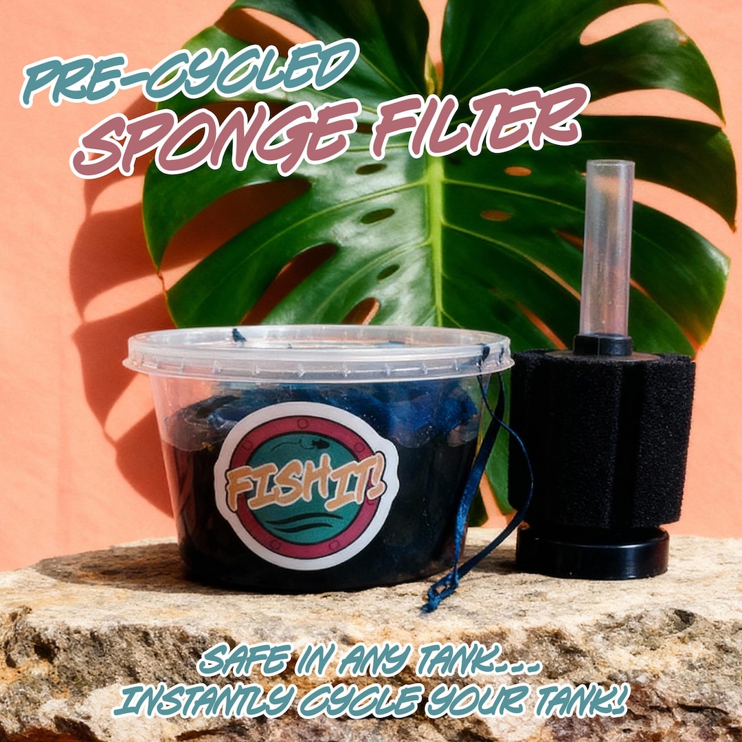 FISHIT! Pre-cycled Sponge Filter - Easy Aquarium Cycle and Rescue - Etsy