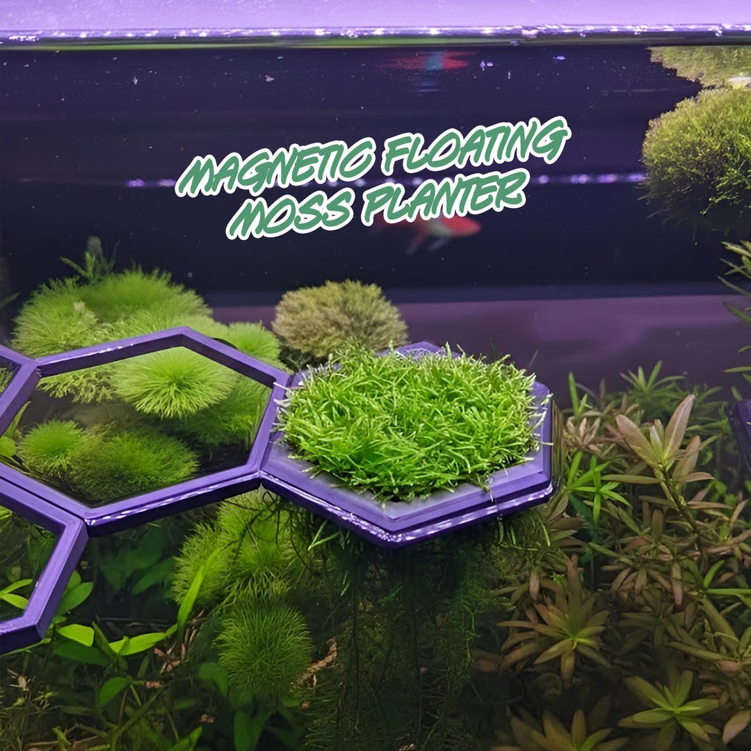 Magnetic Floating Moss Planter for Aquariums | Hexalink - Etsy
