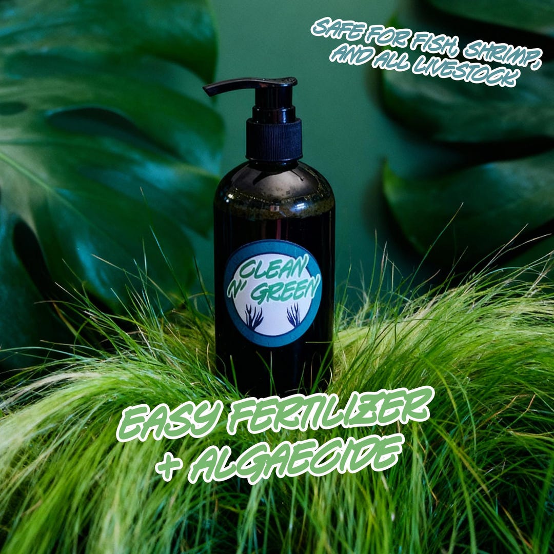 Clean N' Green Algaecide+fertilizer - Etsy