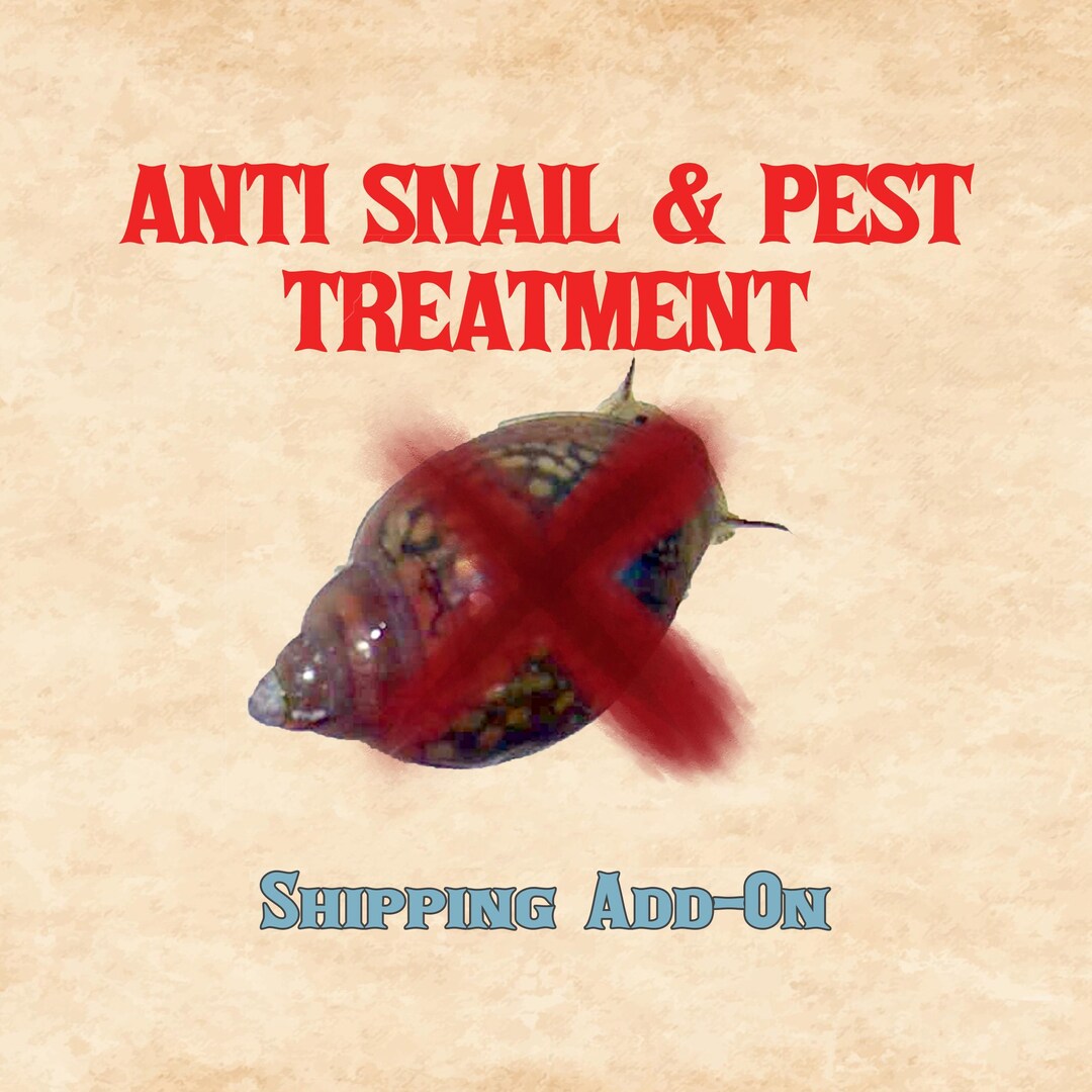 Snail & Pest Treatment ADD-ON || Treat All Your Plants for Snails ...