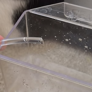 Easy Aquarium Drip Acclimation Kit Safely Acclimate Shrimp, Snails ...