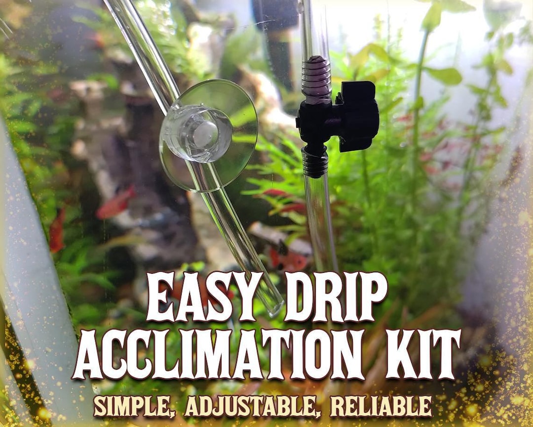 Aquarium Easy Drip Acclimation Kit for Fish, Shrimp - Etsy