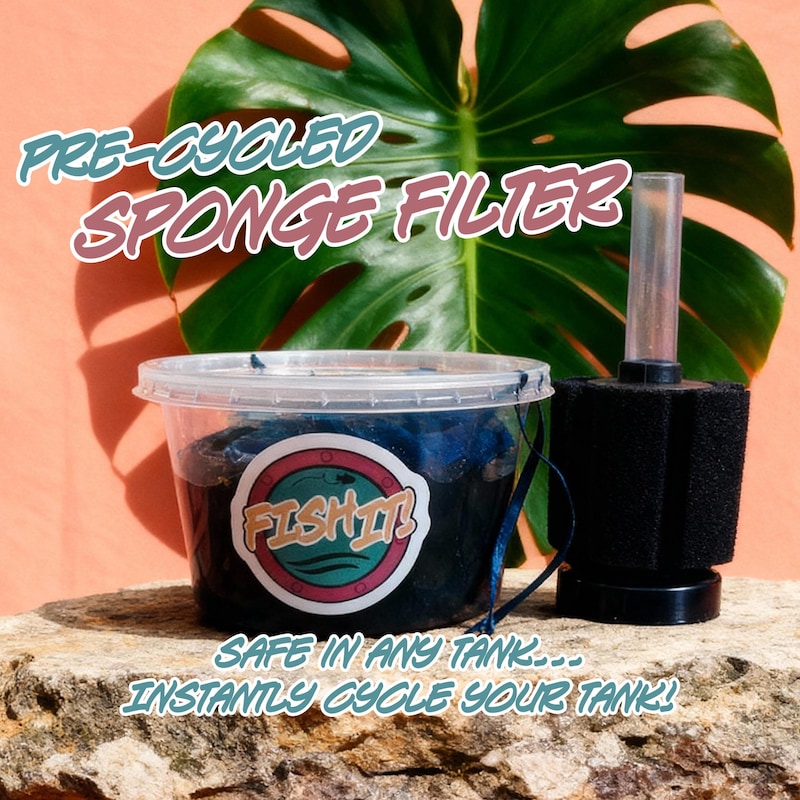 Sponge Filters Aquarium - Etsy