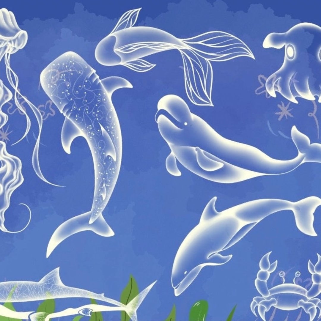 Ocean Animal Stickers -semi Transparent Bleach Design; Sharks, Crab ...