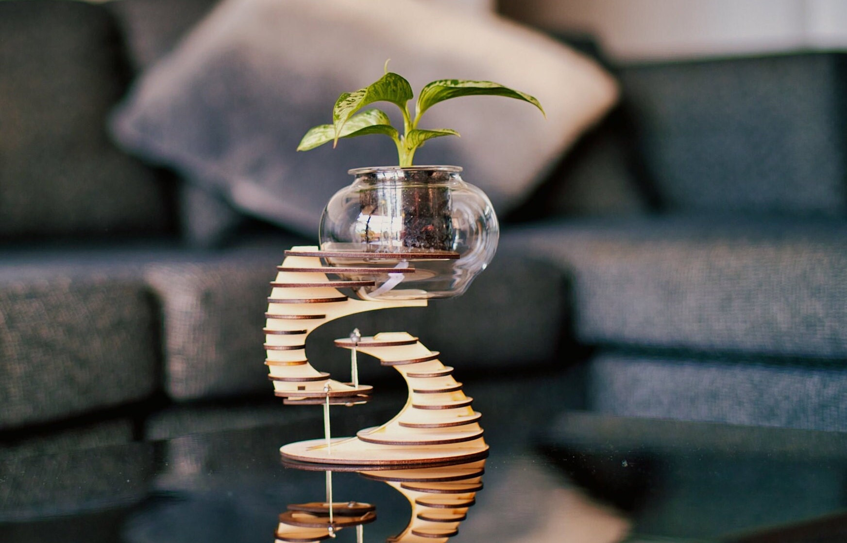 Floating Tensegrity Timber Plant Stand Craft Kit Including Self ...