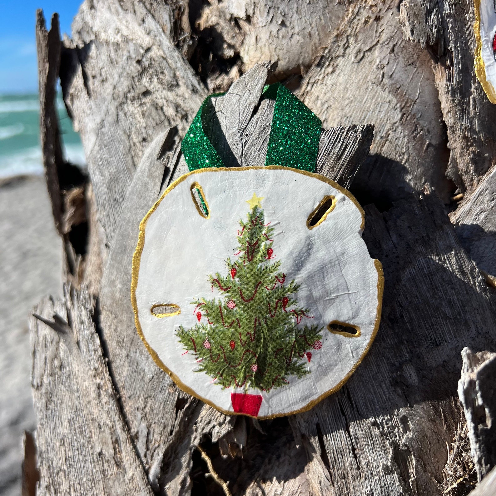 SAND DOLLAR Ornament, Handmade Gift, Christmas Gift, Shell Ornament ...