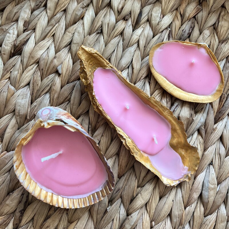 Seashell Candle - Etsy