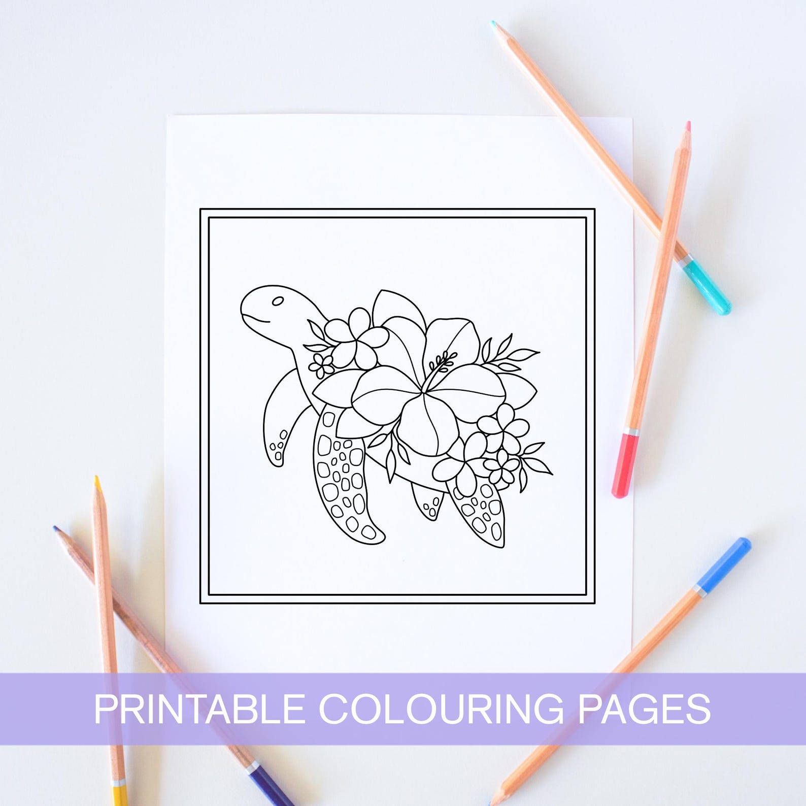 In the Ocean Colouring Page Bundle, Sea Coloring Pages, Beach Coloring ...