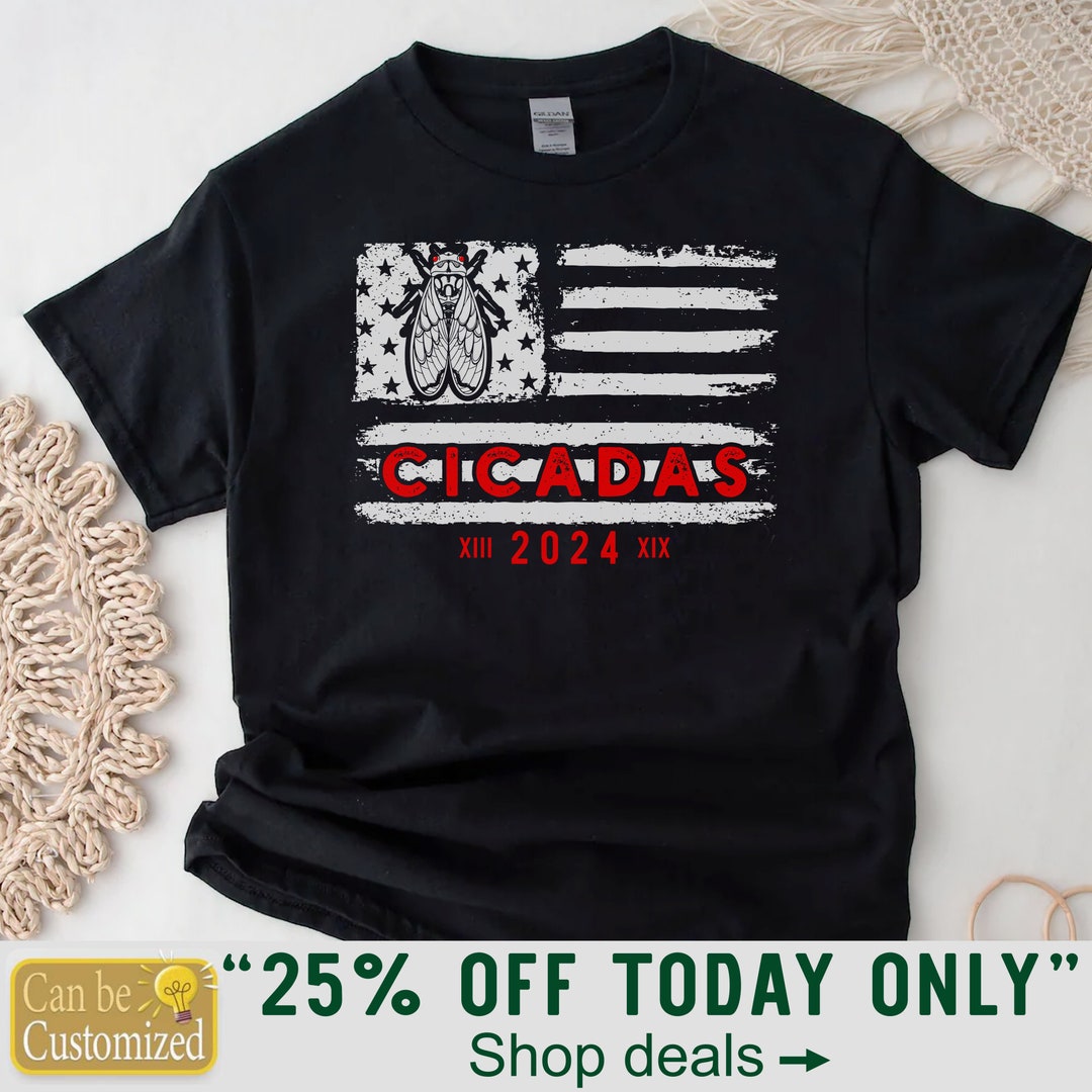 USA Flag Cicadas 2024 Shirt, 2024 Cicadas Shirt, Brood XIX Shirt, Brood ...