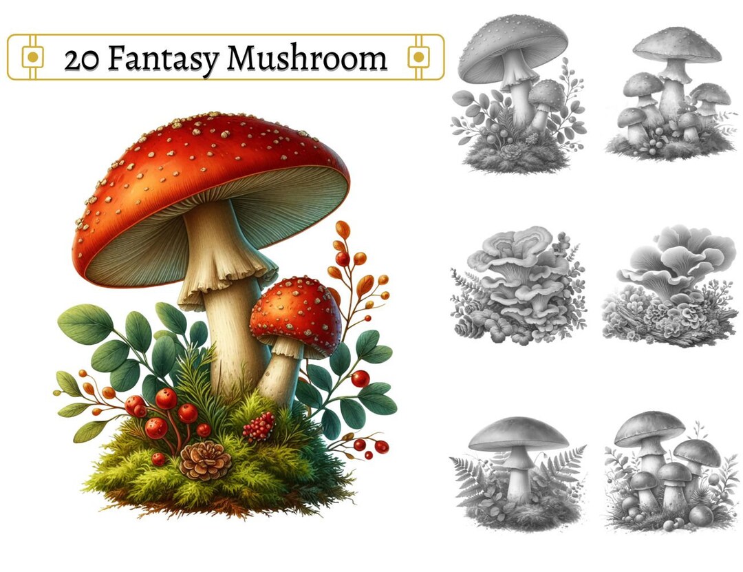 Fantasy Mushroom Coloring Book for Kids and Adults, Fall Toadstool ...