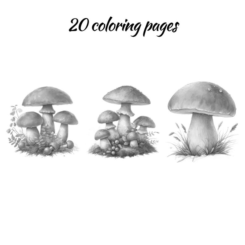 Fantasy Mushroom Coloring Book for Kids and Adults, Fall Toadstool ...