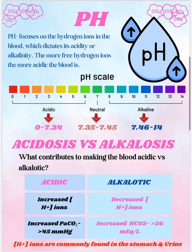 Nursing Abgs Explanation and Practice - Etsy