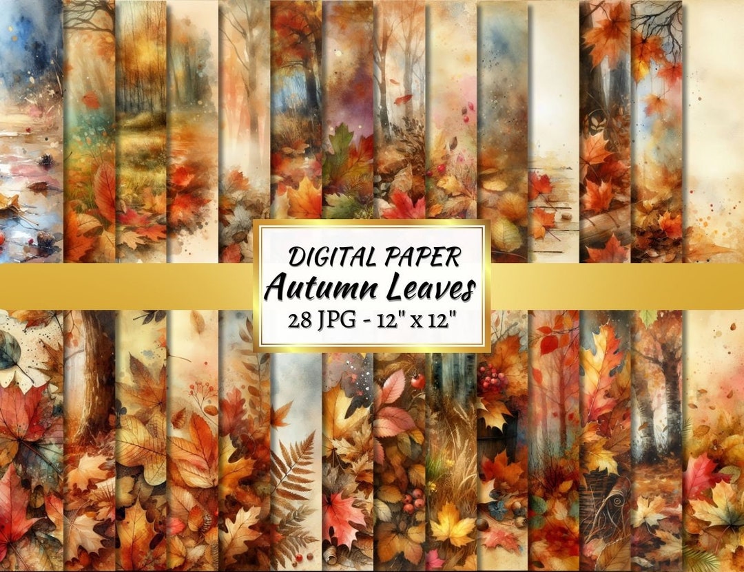 Watercolor Autumn Digital Paper: Fall Forest, Leaves (commercial Use ...
