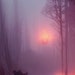 25 Eclectic Emo Cottage Core Digital Wall Art Download Artwork Prints ...