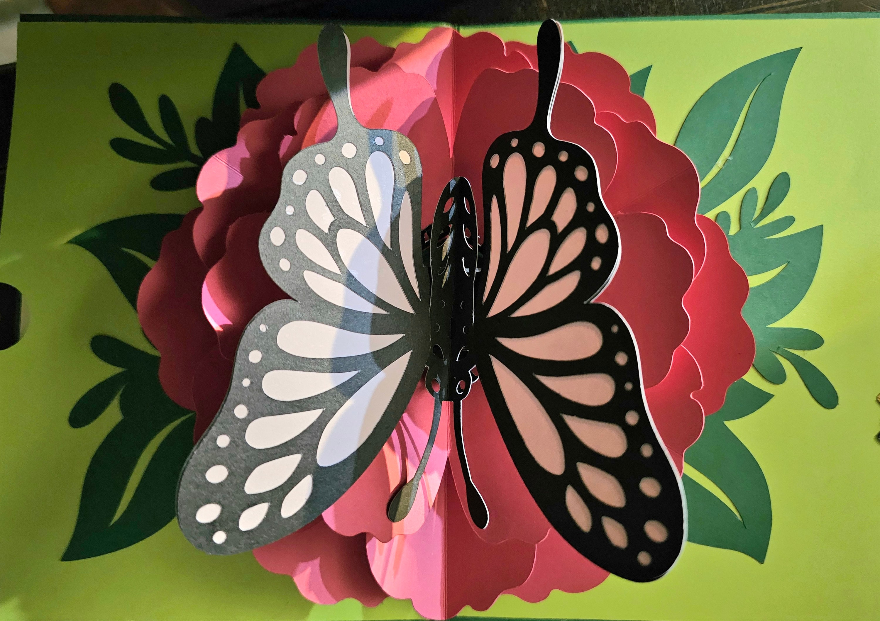 Butterfly Pop up Card - Etsy