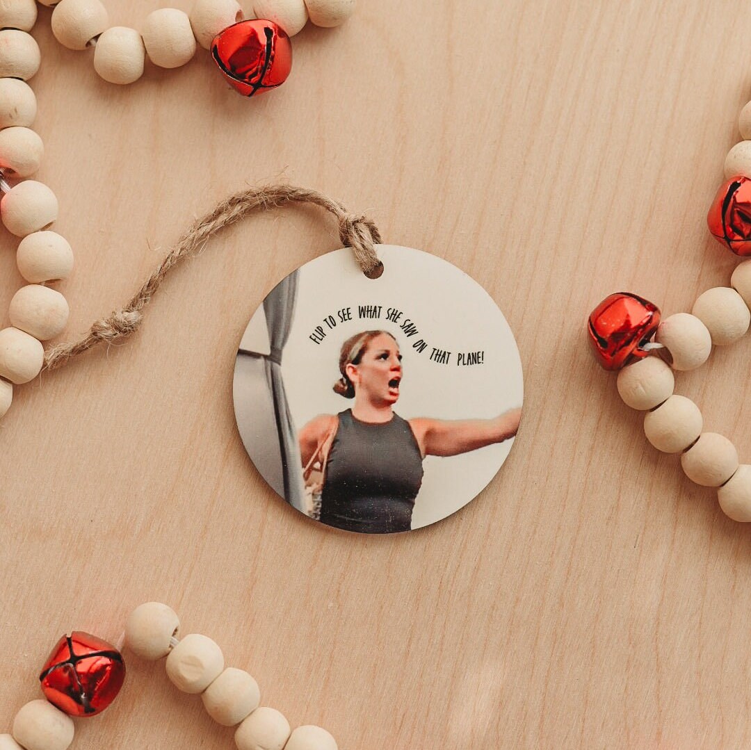 Crazy Airplane Lady Ornament TMFINR Funny Ornament Gift Airplane Lady ...