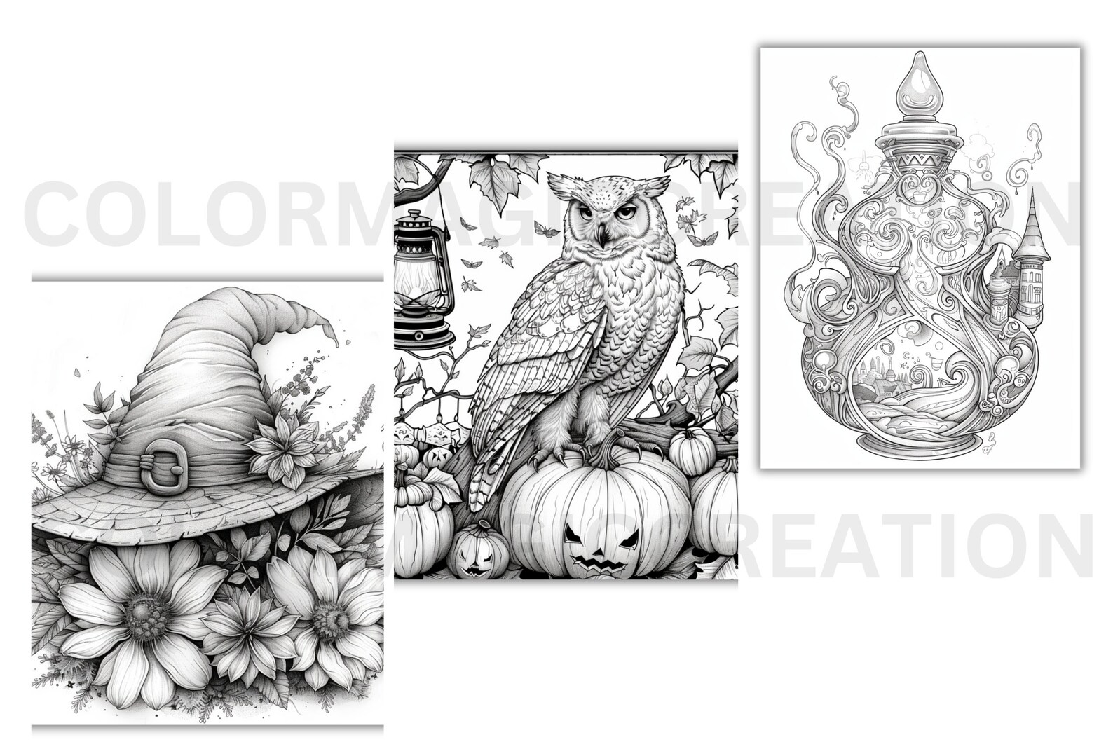 Fantasy Witches Coloring Book,digital Adult Coloring Book, Fantasy ...