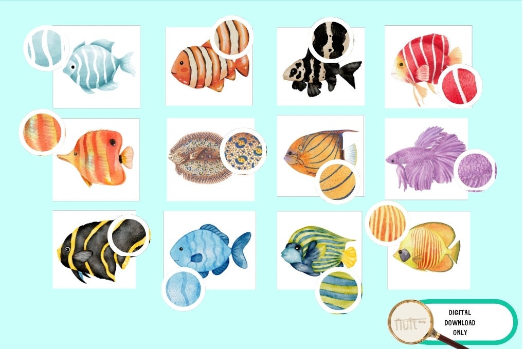 Pattern Matching Activity, Fish Matching Cards, Fine Motor, Montessori ...