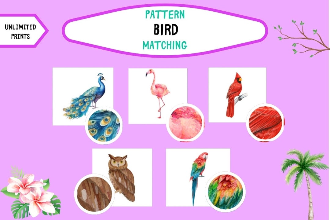 Pattern Matching Activity, Bird Matching Cards, Fine Motor, Montessori ...