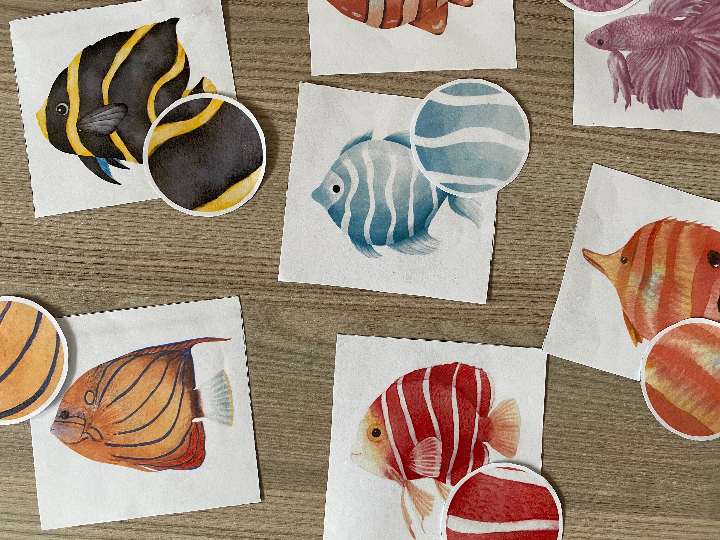 Pattern Matching Activity, Fish Matching Cards, Fine Motor, Montessori ...