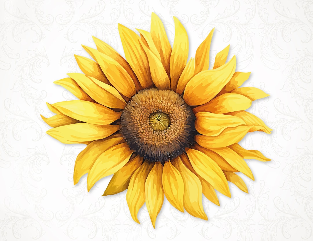 Watercolor Sunflower PNG, Sublimation Design (digital Download) - Etsy