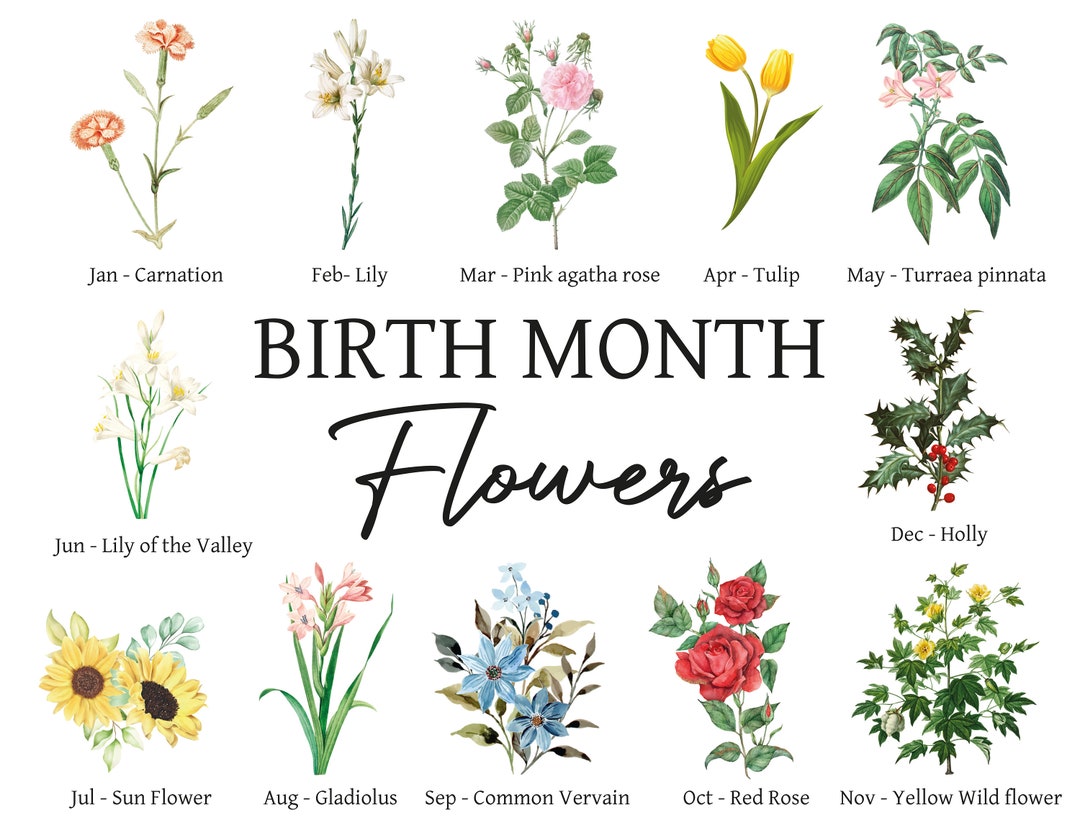 Birth Month Flowers PNG, Floral Clipart Bouquets (digital Download) - Etsy