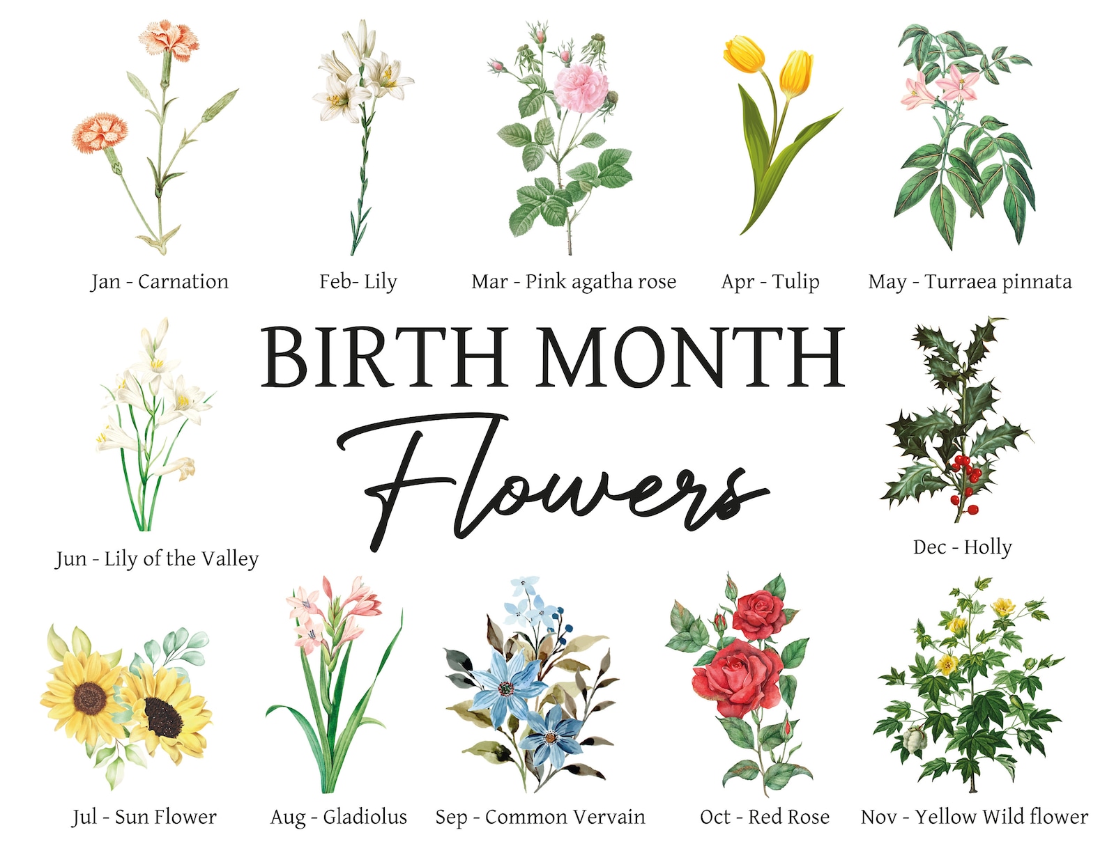 Birth Month Flowers With Names PNG, Vivid Floral Clipart Bouquets ...