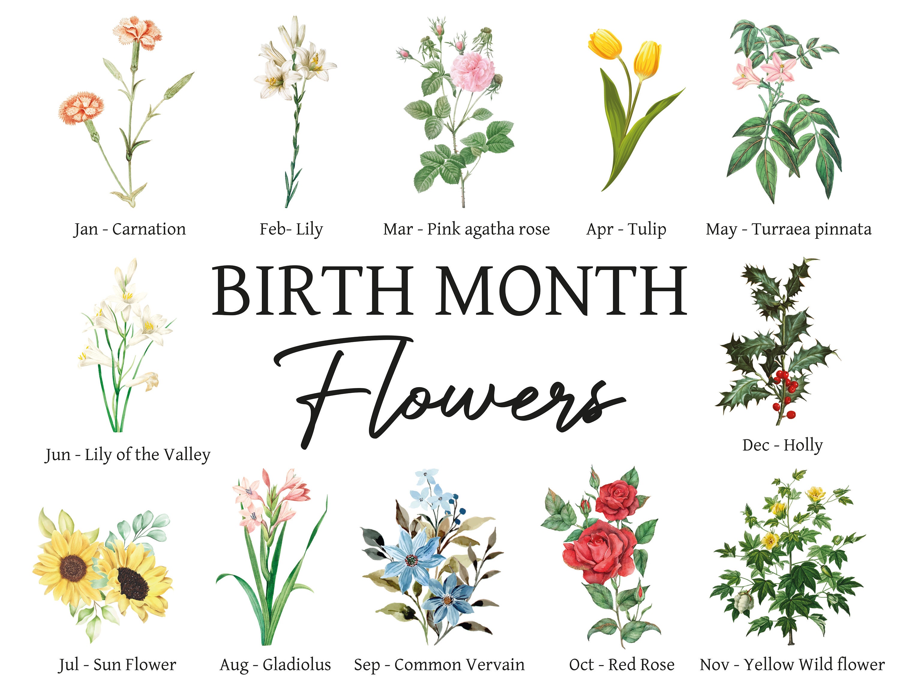 Birth Month Flowers PNG, Floral Clipart Bouquets (digital Download) - Etsy