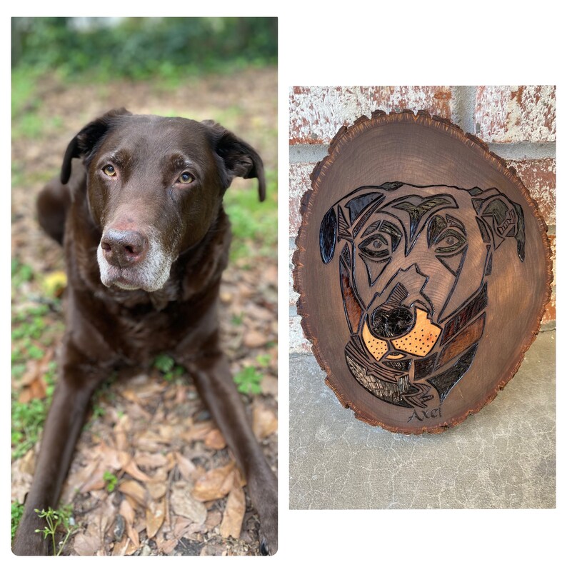 Pet Portrait Woodburning Custom Pet Portrait - Etsy