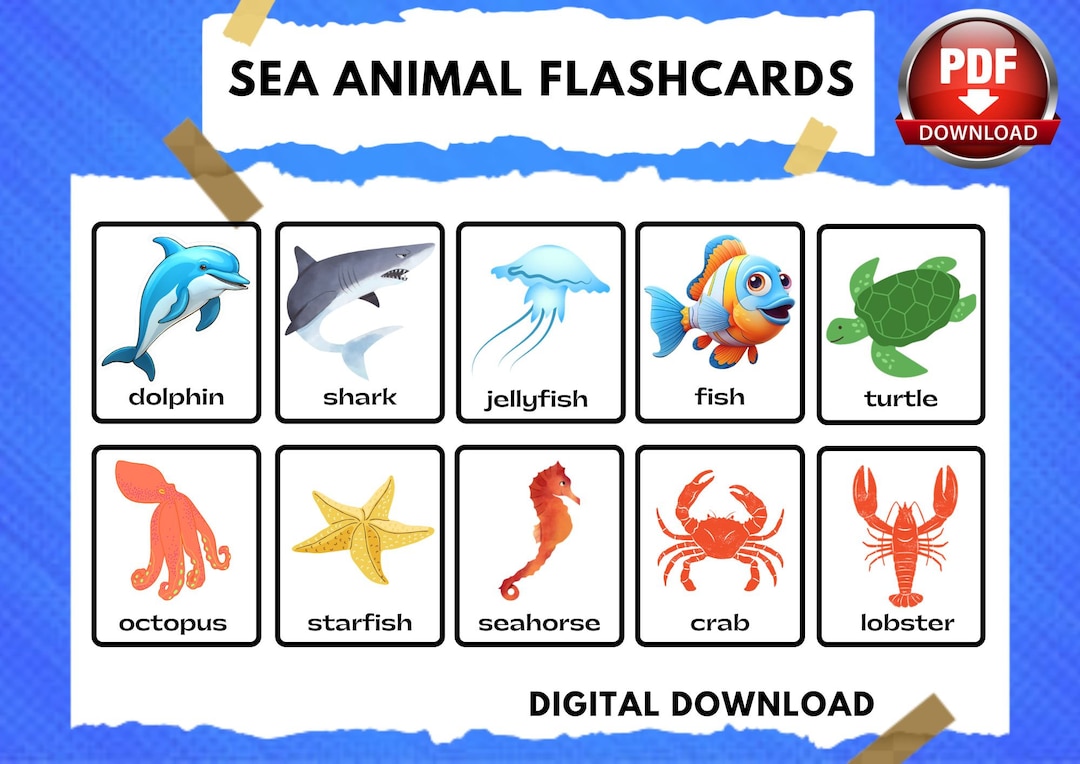 Sea Animal Flashcards Printable Ocean Cute Animals Montessori Material ...
