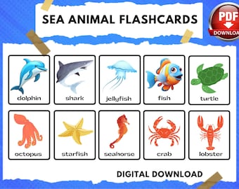 Sea Animal Flashcards Printable Ocean Cute Animals Montessori Material ...