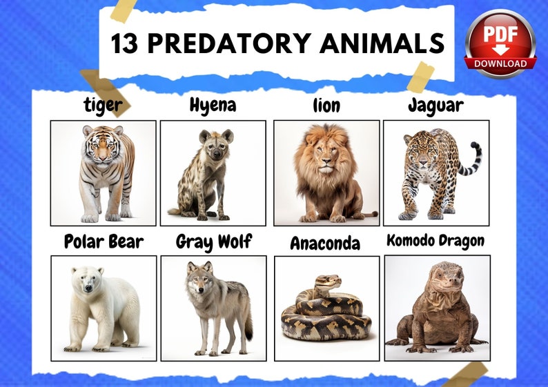Predatory Animals Flashcards; Montessori Materials, Educational ...