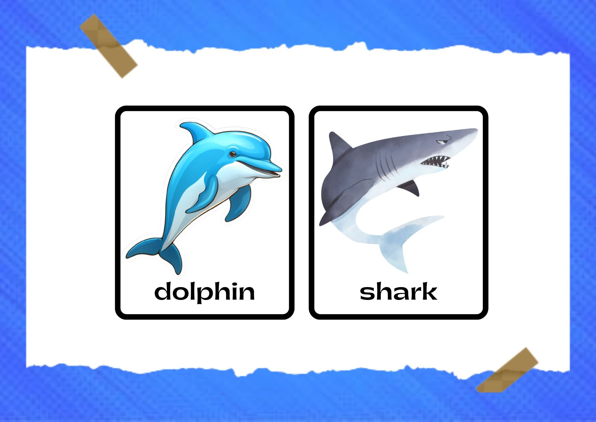 Sea Animal Flashcards Printable Ocean Cute Animals Montessori Material ...