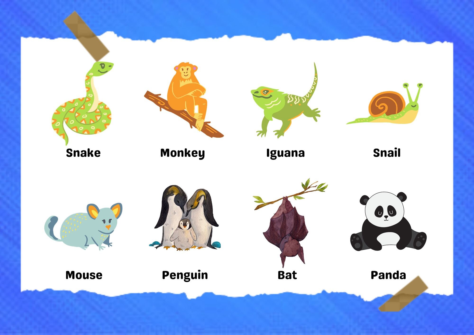 32 Animals Flash Cards, Montessori Materials, Educational Printable ...