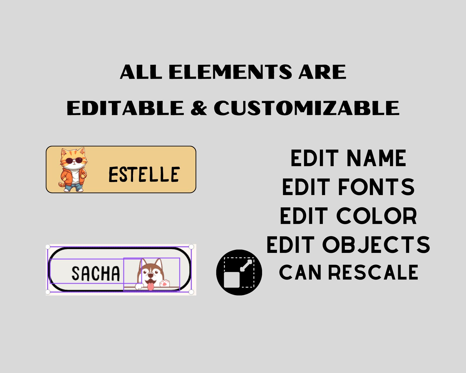 Cute Animal School Supply Labels Editable Printable / Daycare Labels ...